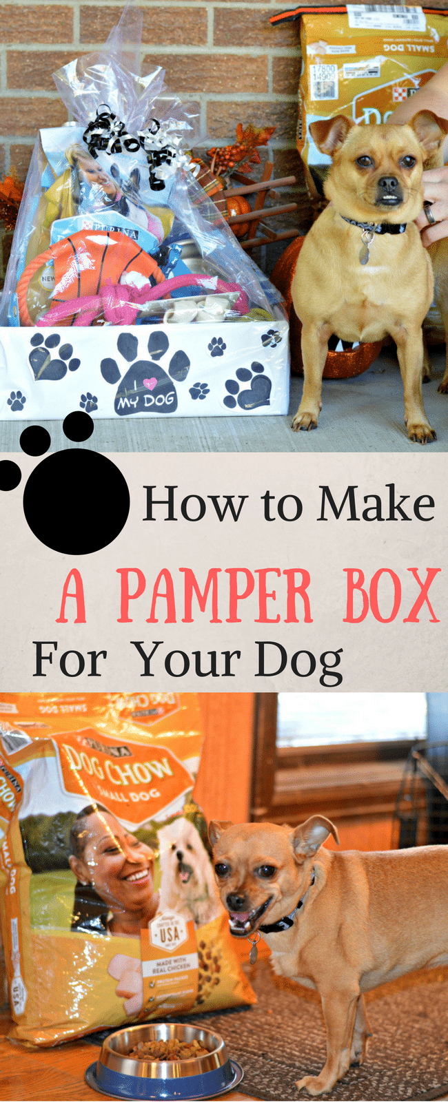 How To Make A Pamper Box For Your Dog - My Latina Table