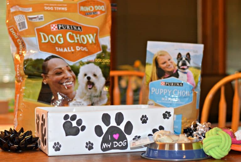 How To Make A Pamper Box For Your Dog - My Latina Table