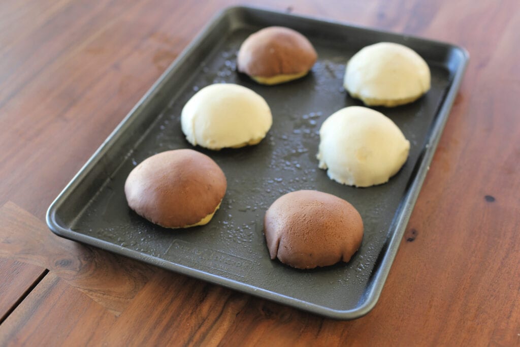 The Best Authentic Mexican Conchas Recipe - My Latina Table