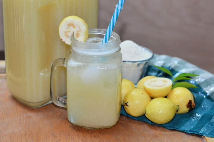 Fresh Guava Juice Recipe (Agua de Guayaba) - My Latina Table
